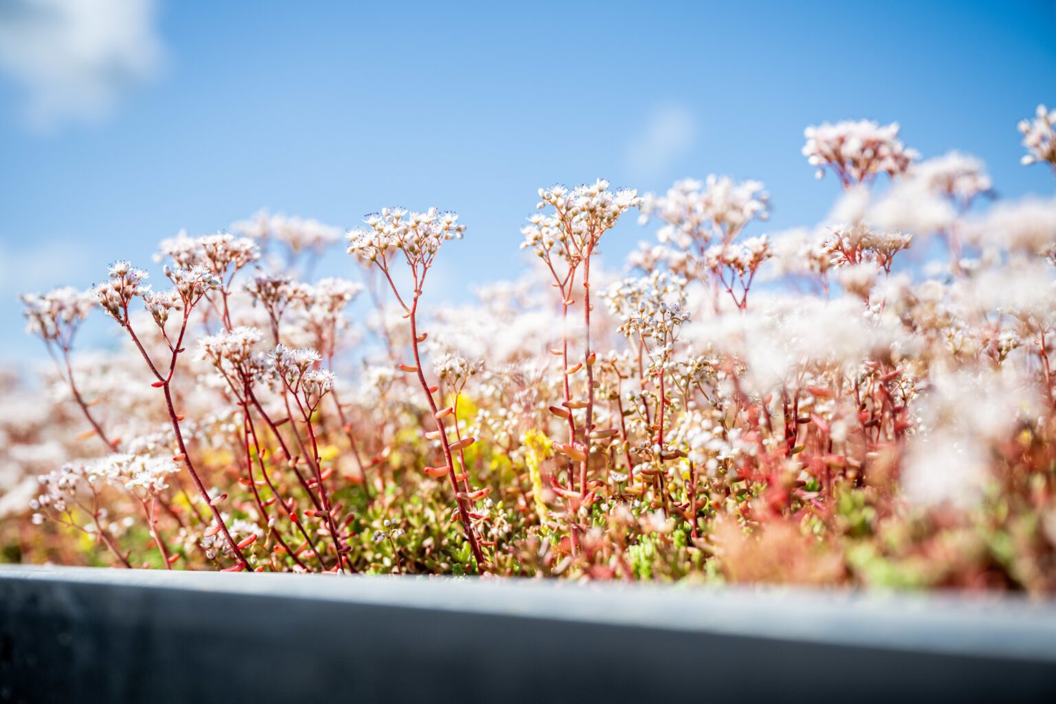 Stepnell completes Health & Wellbeing Hub - Stepnell