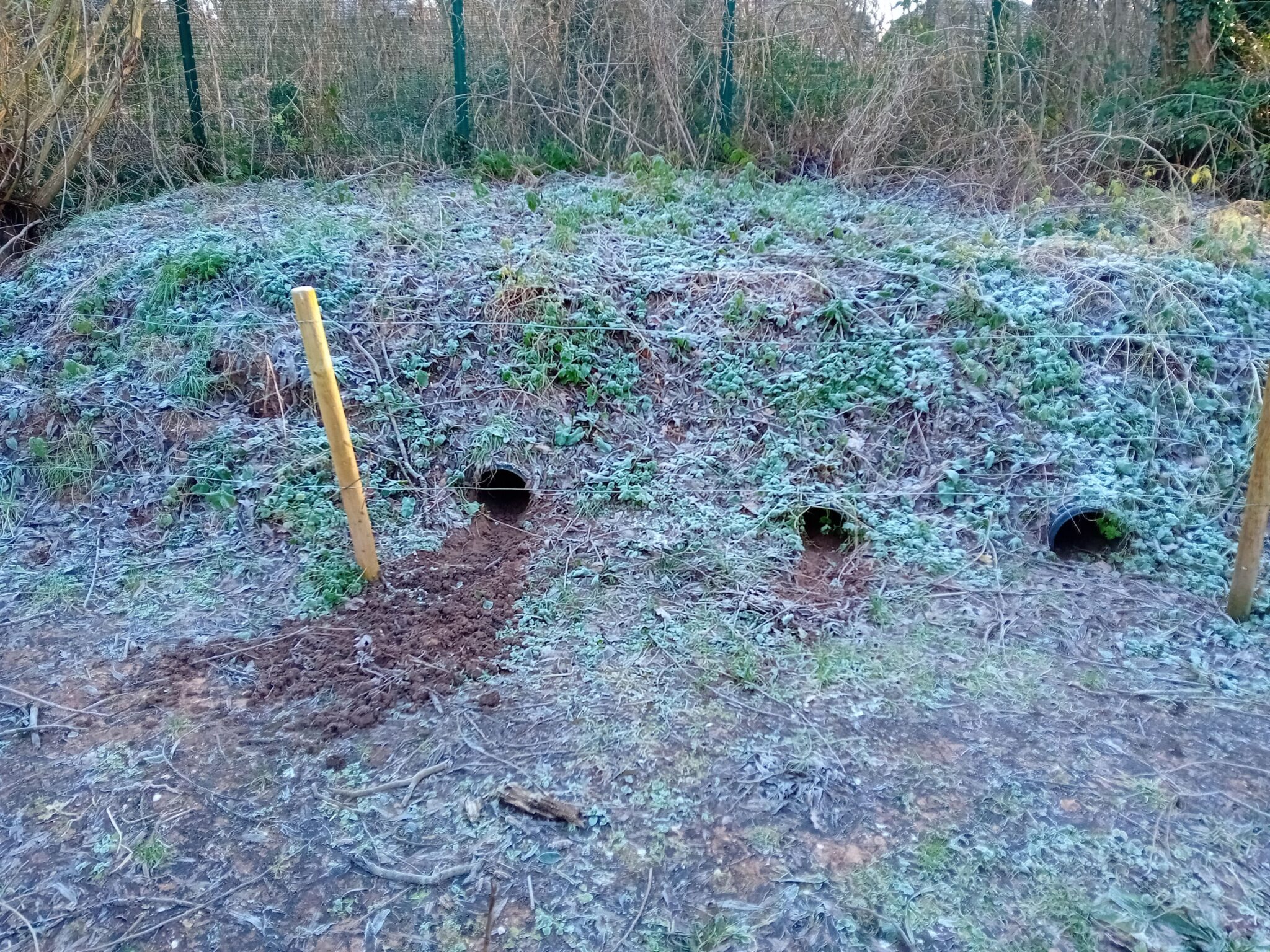 Accommodating for Badgers - Stepnell