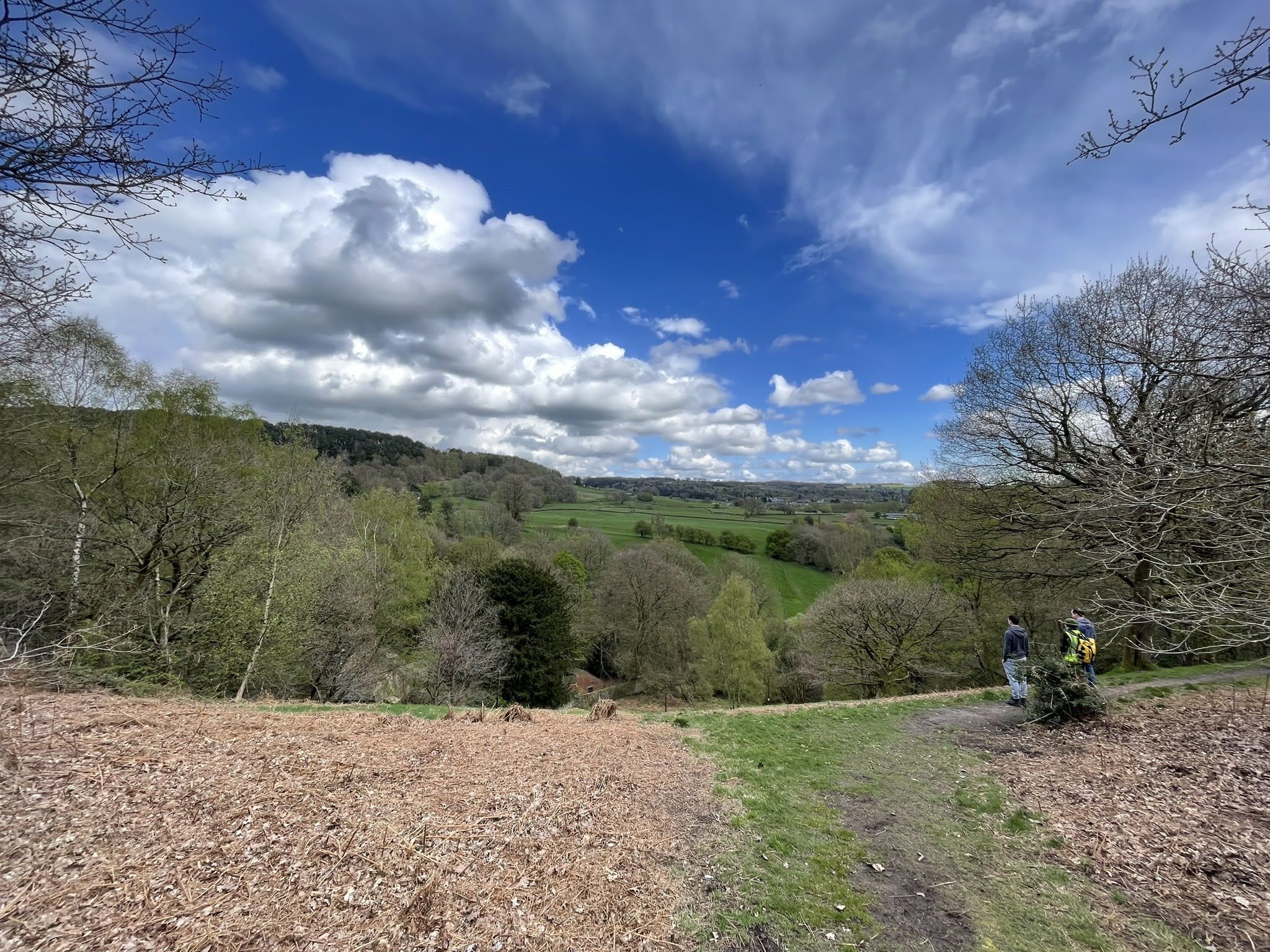 Volunteering with Hurst Farm Regeneration Project - Stepnell